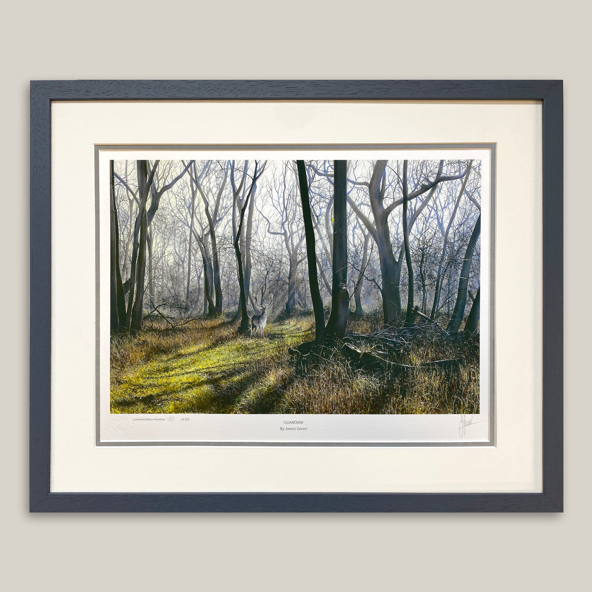 Guardian Limited Edition Print – Artist James Green