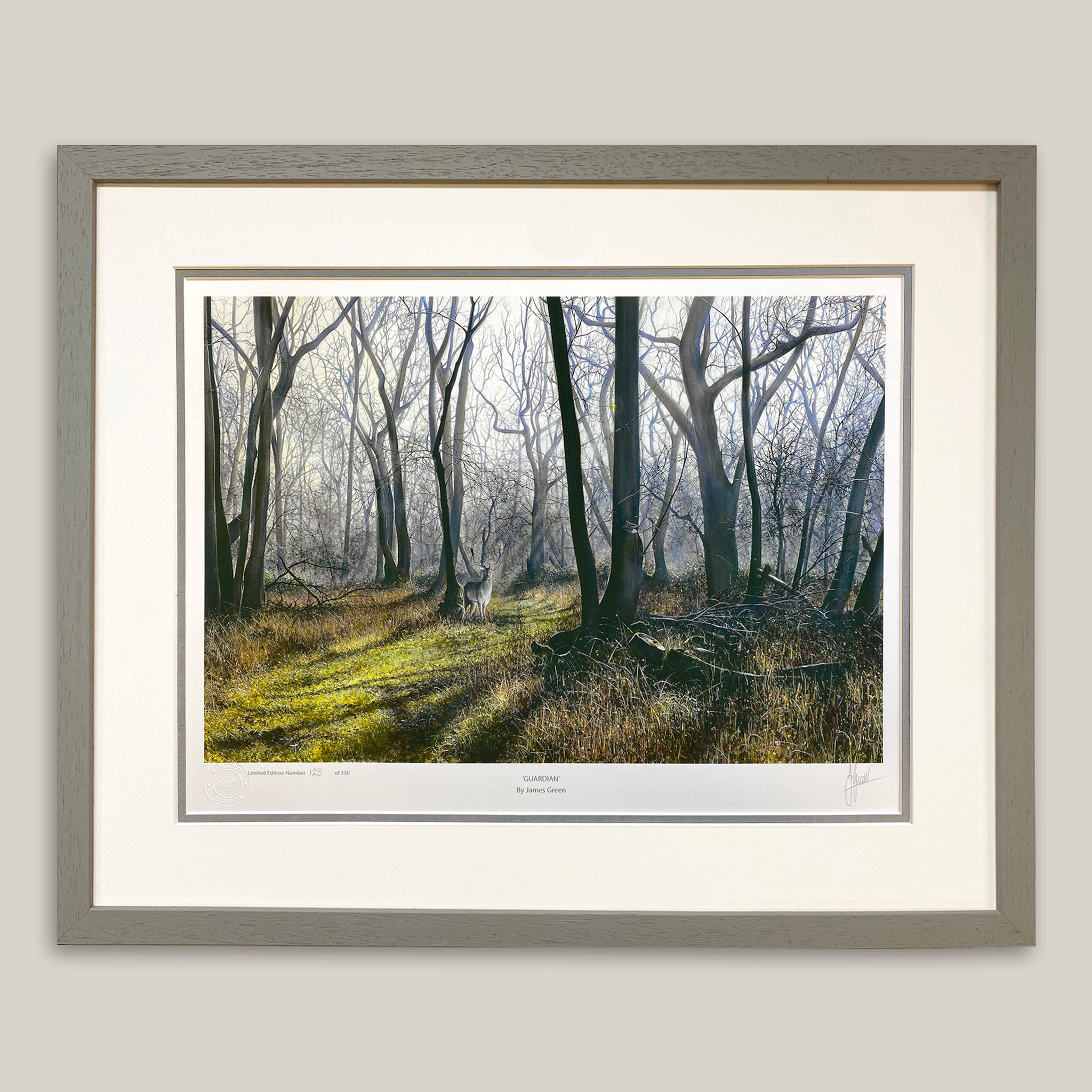 Guardian Limited Edition Print – Artist James Green